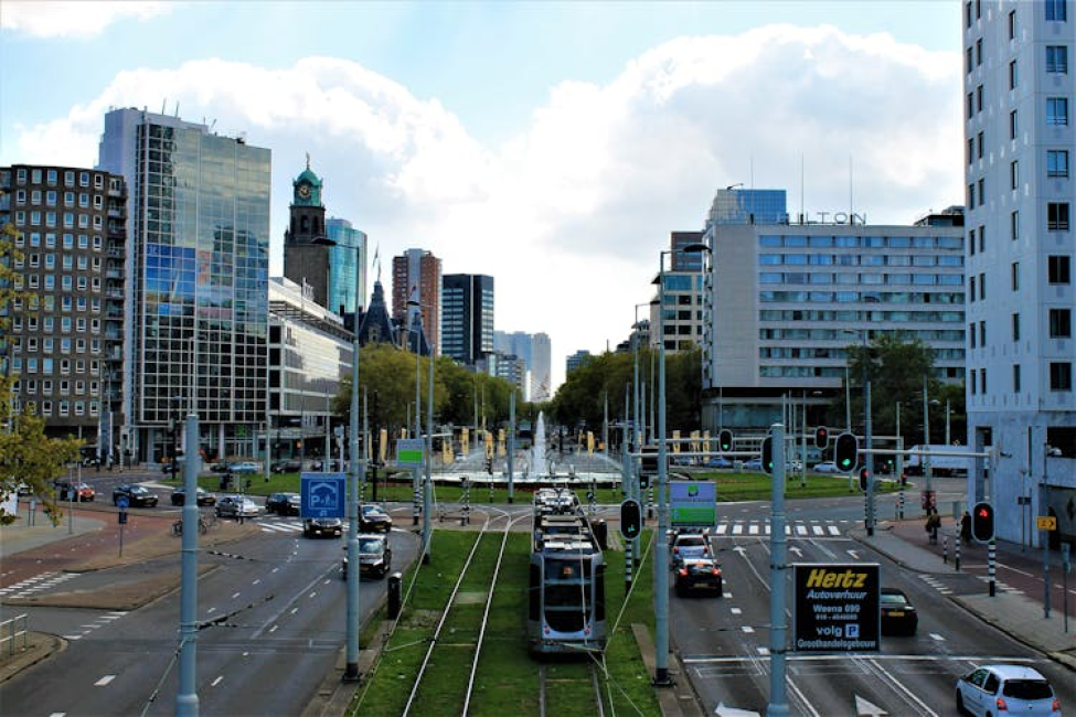 The whole city in half a day private tour Rotterdam - KKday