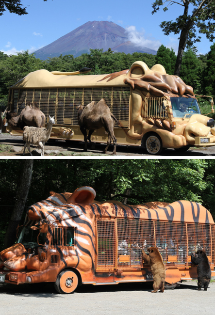 Feeding at Fuji Safari and Tea Plantation 1D Bus Tour From Nagoya - KKday