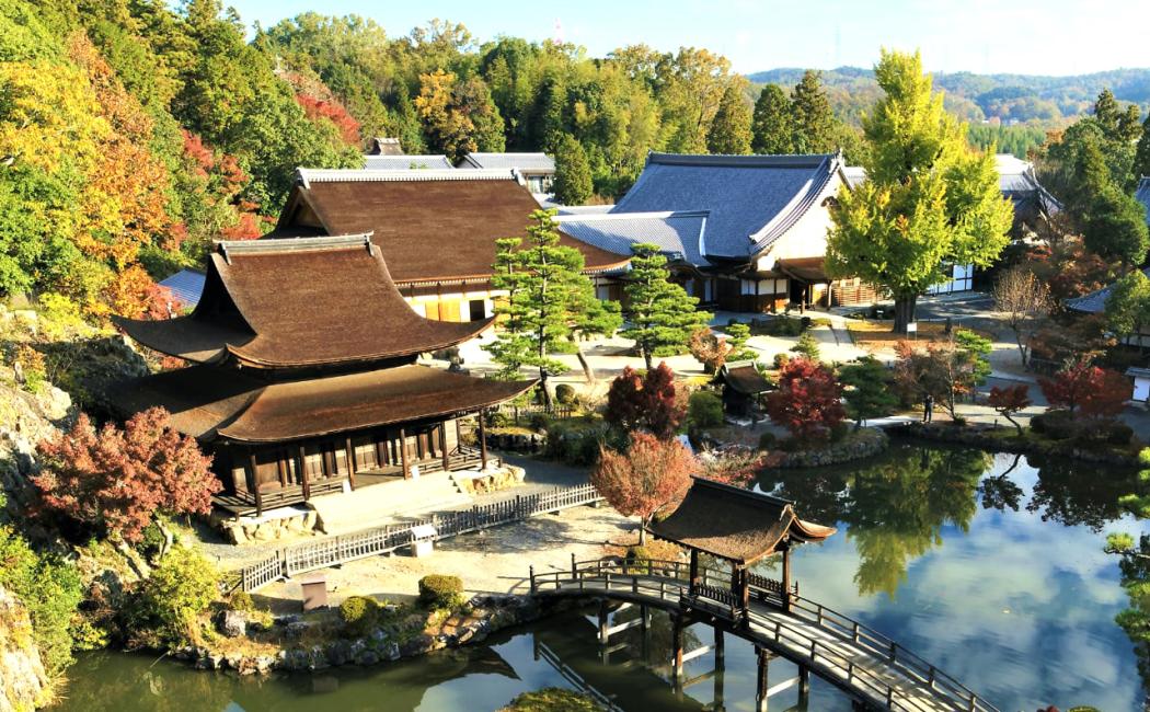 Kokeizan Cherry Blossom Viewing Day Tour｜Kokeizan Eihoji Temple ...