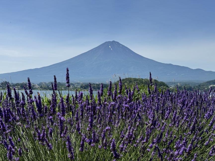 Mount Fuji Scenic Spot One-Day Tour｜Asama Park & Hikawa Watch Shop ...