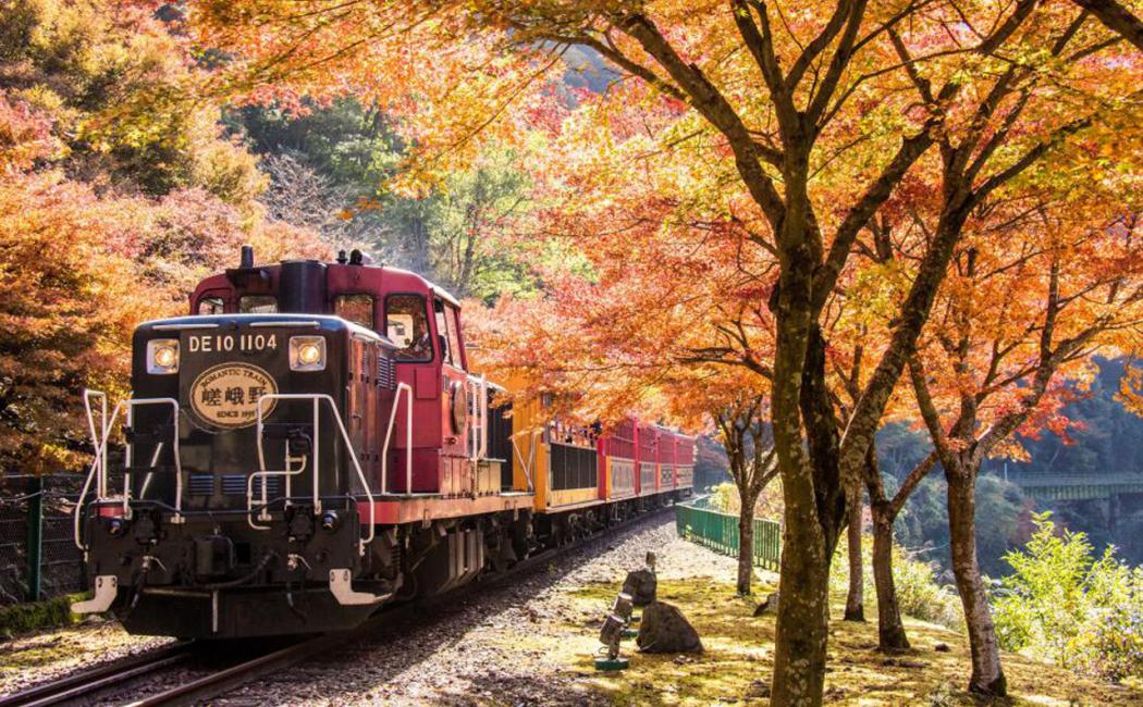 One-day trip to Arashiyama, Nara, Kyoto | Nara Park, Fushimi Inari ...