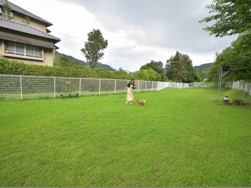 An Onsen Resort for you and Your Dog - Izu Shuzenji Kizuna+ - KKday