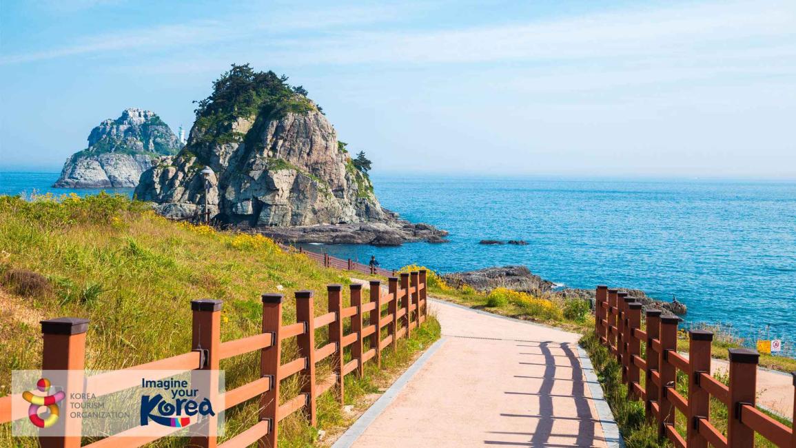Busan Day & Night Tour: Oryukdo Island, Skywalk, Haedong Yonggungsa ...