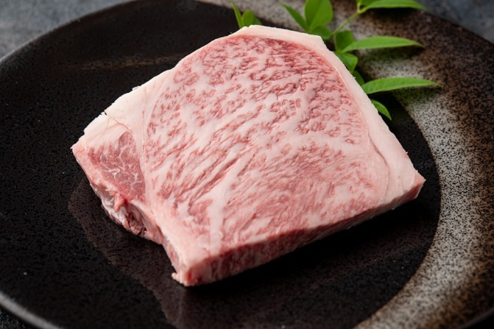 愛知縣名古屋站週邊| 牛排Matsusaka Gyu Yakiniku Isshobin（松阪牛焼肉 一升びん 名古屋名駅店）|僅座位預訂 ...