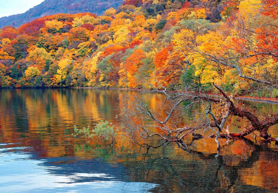 Aomori Autumn Day Tour: Oirase Gorge, Lake Towada, Hirosaki Park and ...