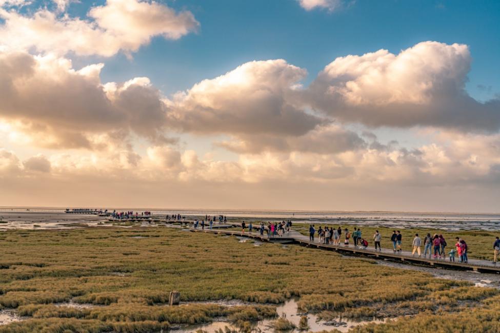 A Guide to Gaomei Wetlands: Best Time To Go And Tips For Your Visit ...