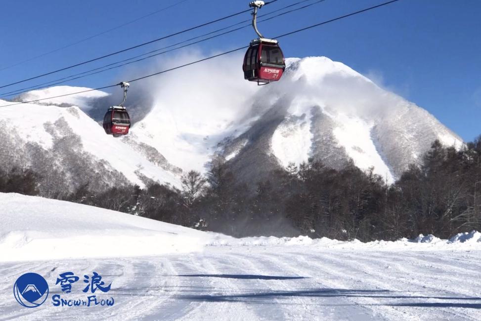 Niseko, Hokkaido Half-day 3-hour/Full-day 6-hour private ski lesson ...