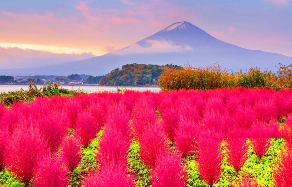 One-day tour of Mount Fuji, two popular views｜Arakurayama Sengen Park ...
