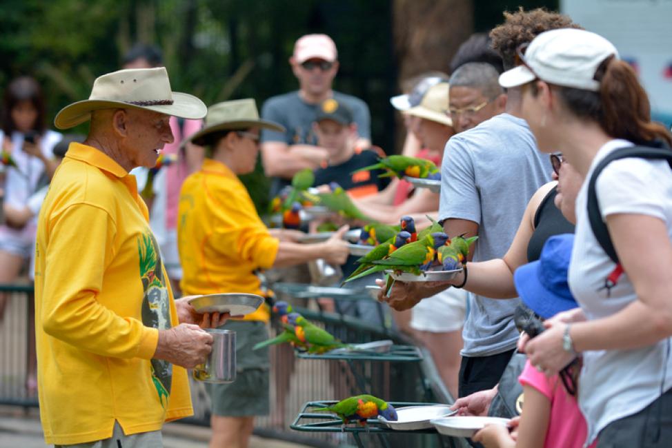 Gold Coast Krumbin Zoo and Byron Bay Day Tour - KKday