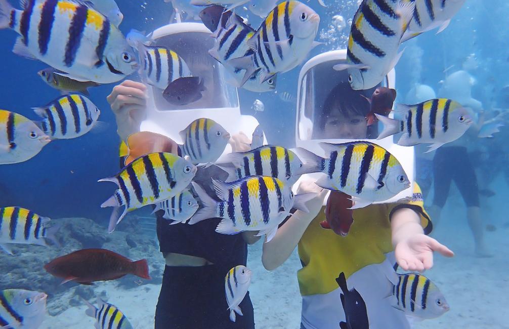 Panglao Bohol Helmet Diving with Photos and Videos | Philippines - KKday