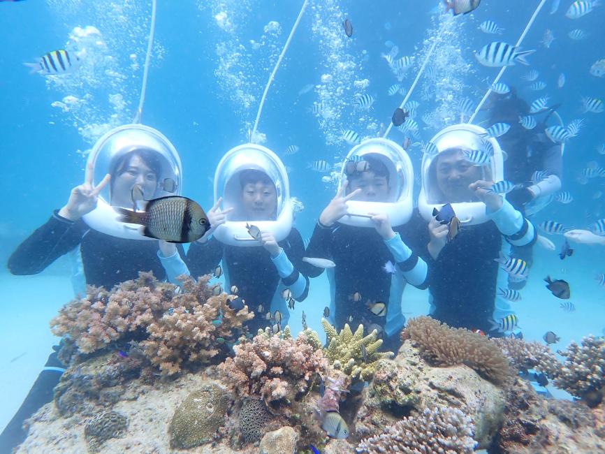 Panglao Bohol Helmet Diving with Photos and Videos | Philippines - KKday