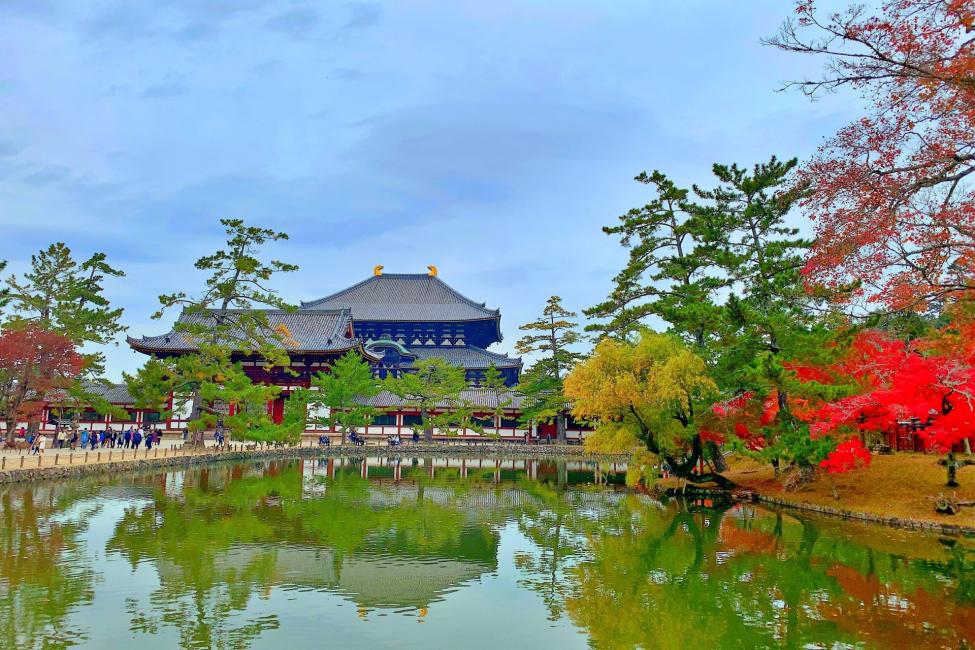 Nara World Heritage PRIVATE TOUR（Autumn leaf season） - KKday