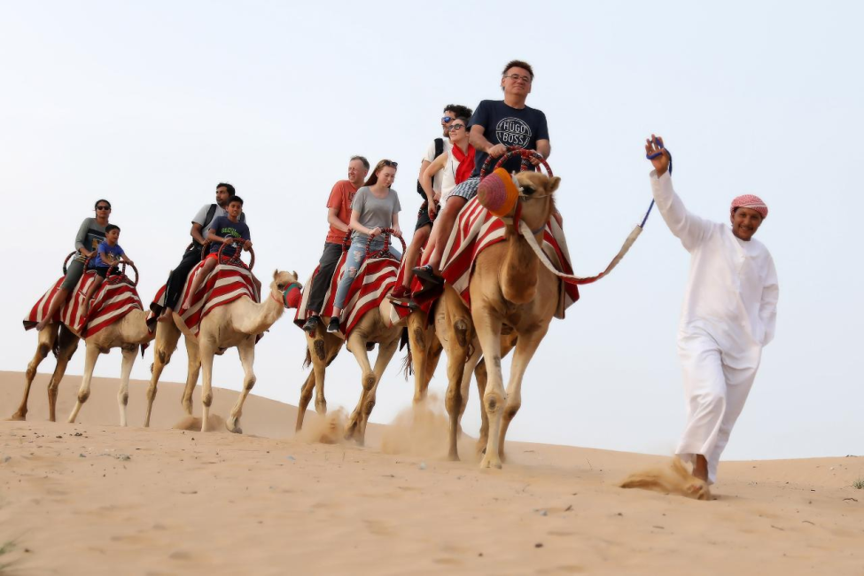 Red Dunes by Quad Bike Camel Ride Sandboarding and BBQ - (Program with ...