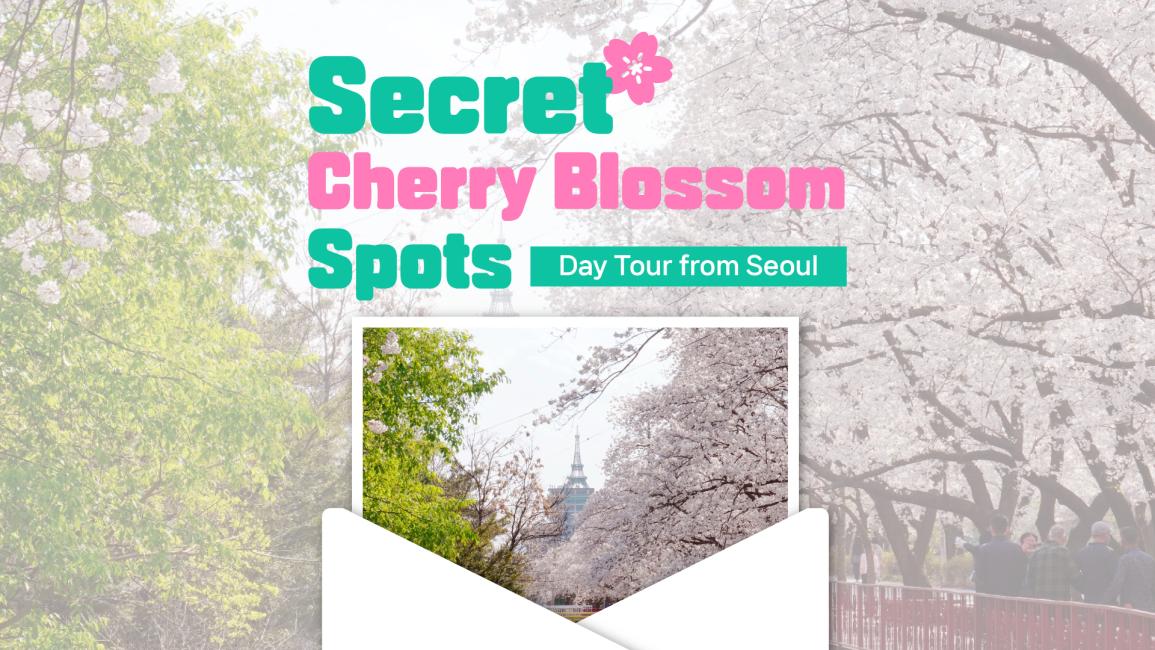 2025 Secret Cherry Blossom Spots Day Tour from Seoul - KKday