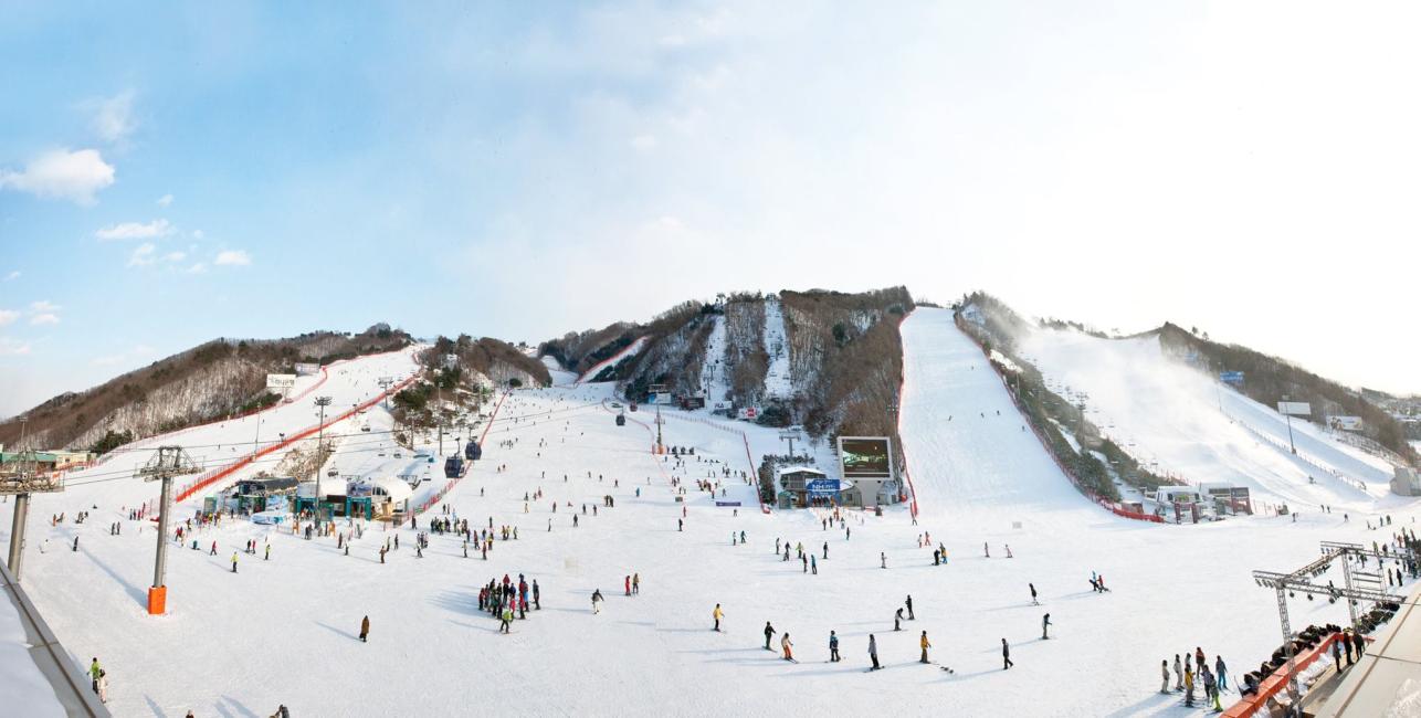 Gangwon-do Ski Day Trip｜SONO VIVALDI PARK｜From Seoul - KKday