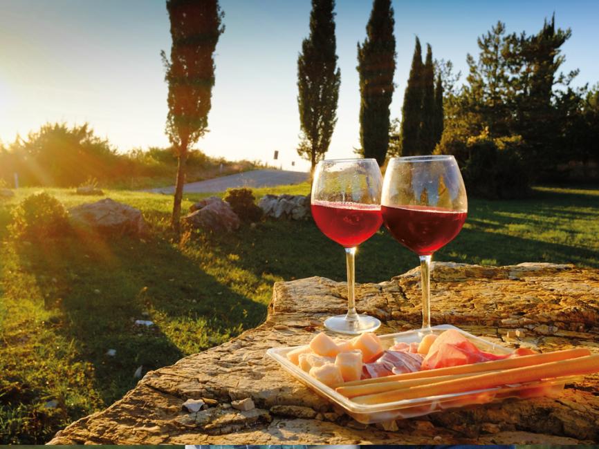 Chianti Half-Day Tour from Florence | Italy - KKday