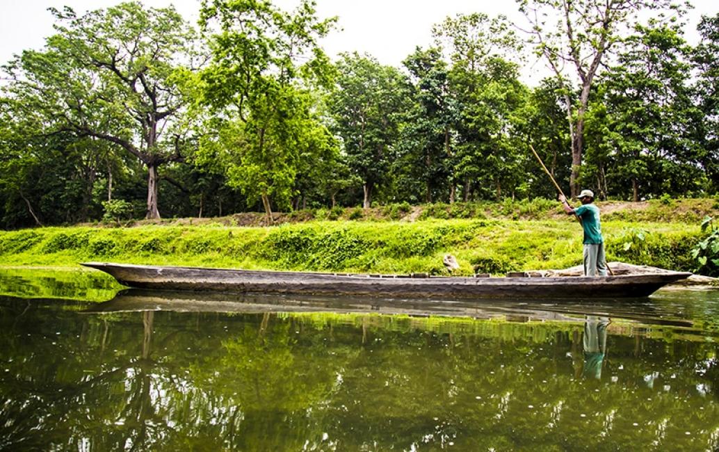 Chitwan National Park Tour - jungle activities in Chitwan - KKday