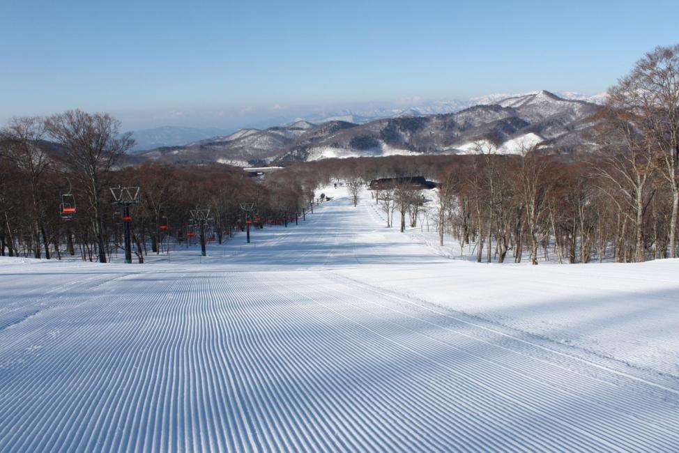 Tambara Ski Park 1-Day Tour from Shinjuku | Japan - KKday