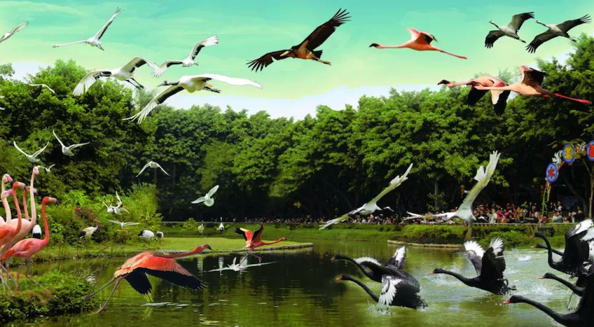 Chimelong Bird Park in Guangzhou, China | Exclusive offer for free ...
