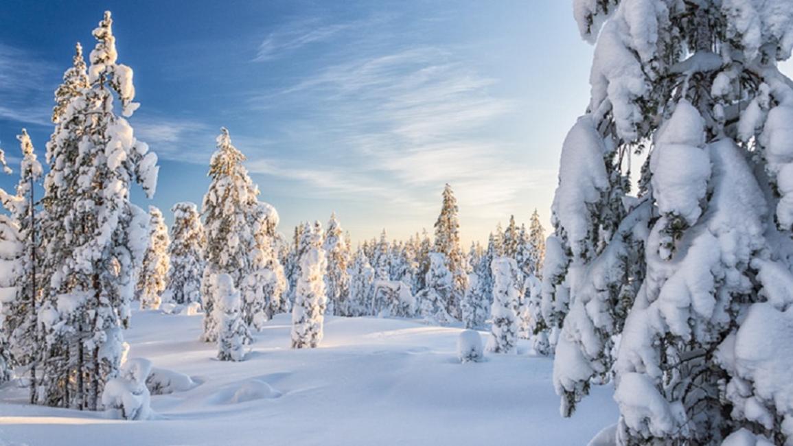 Finland Korouoma Frozen Waterfalls Day Tour from Rovaniemi - KKday