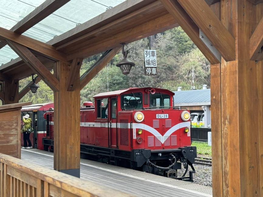 Alishan 1-Day Shared Tour: Fenqihu Old Street & Alishan | Exclusive ...