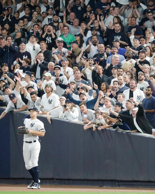 MLB New York Yankees Ticket - KKday
