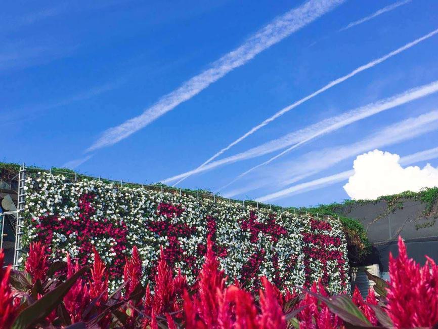 [Limited Time 15% Off Offer] Romantic Taichung 1-Day Tour: Lavender ...