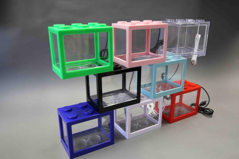 [Stress-Relieving DIY] Mini Aquarium Workshop｜Mini Aquarium DIY ...