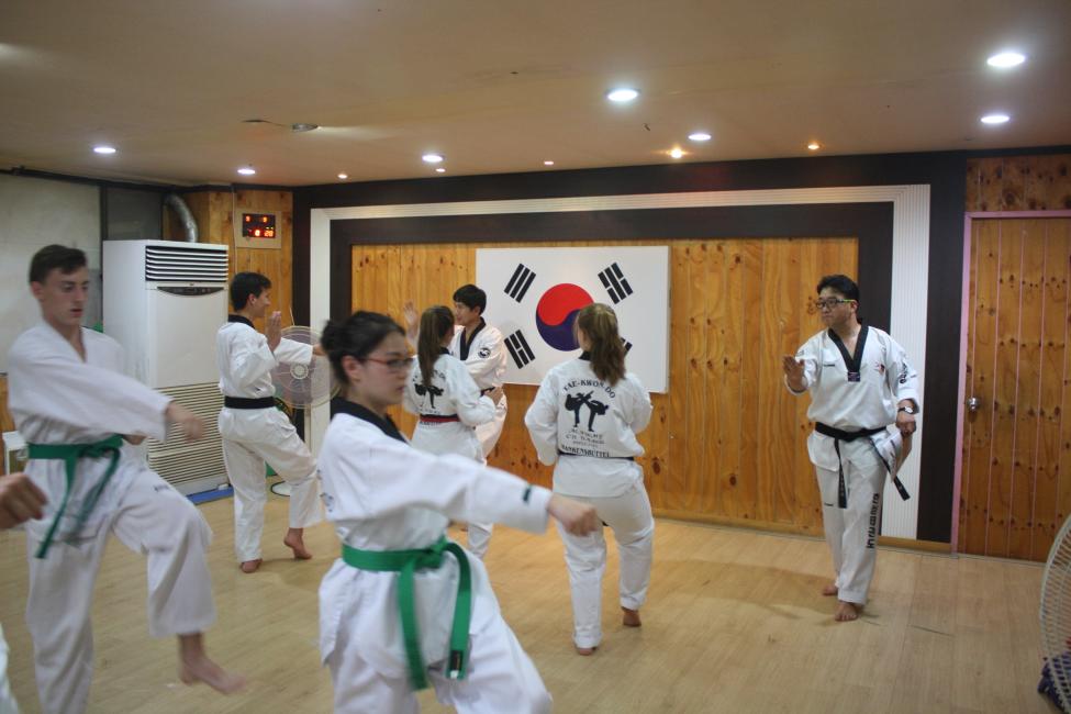[Daegu] Combat Taekwondo Experience - KKday