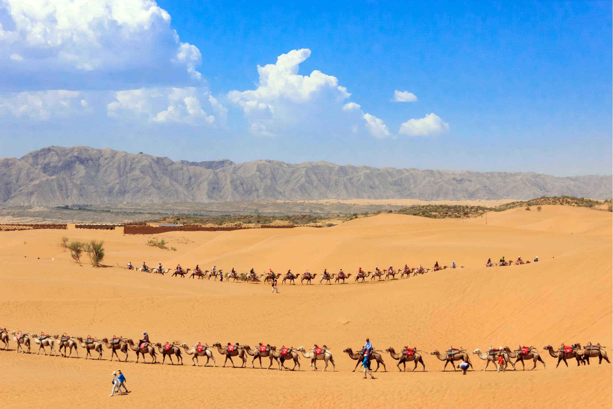 Best Things To Do In Ningxia 2022 - Tours and Activities - KKday