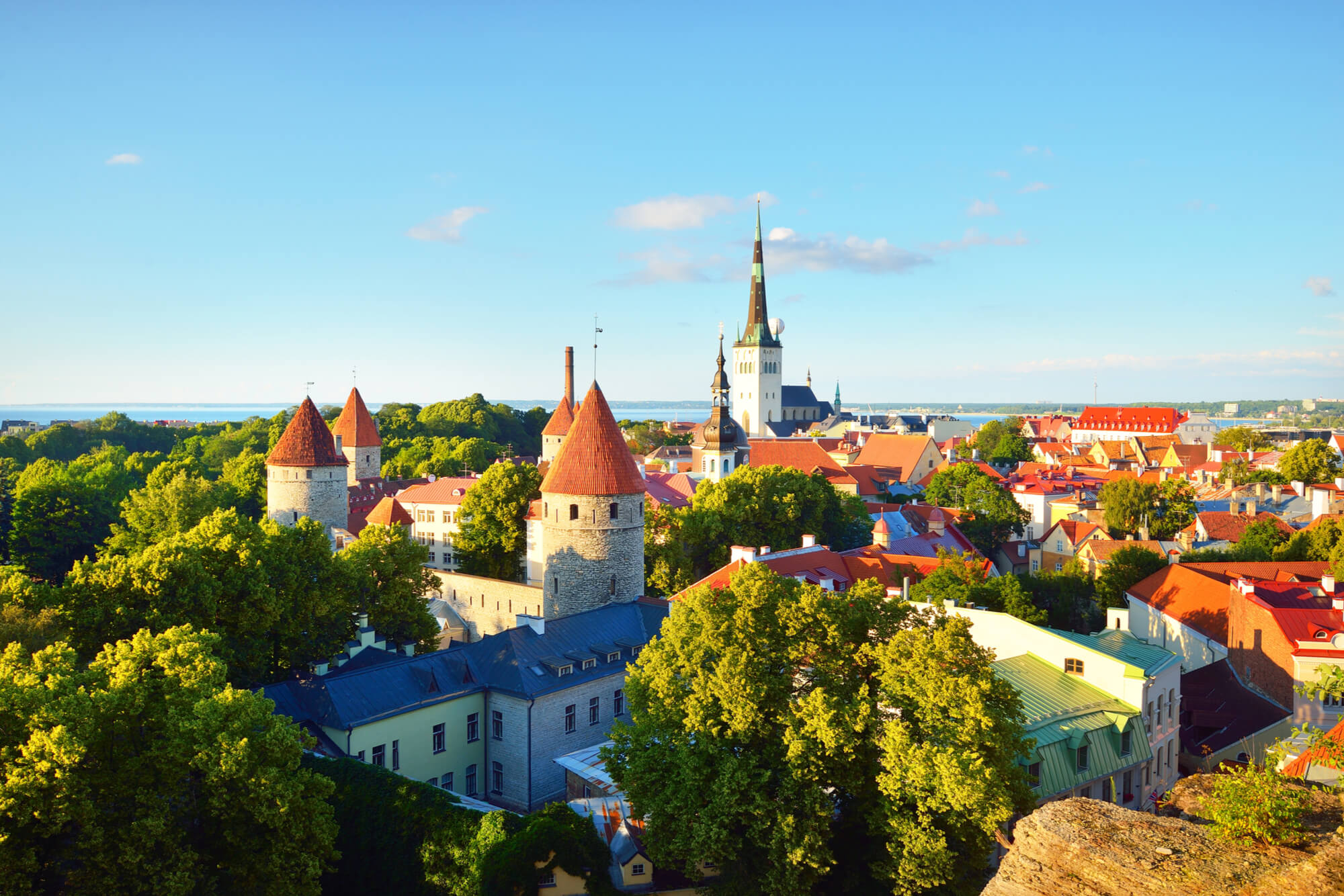 Best Things To Do In Tallinn 2022 - Tours and Activities - KKday