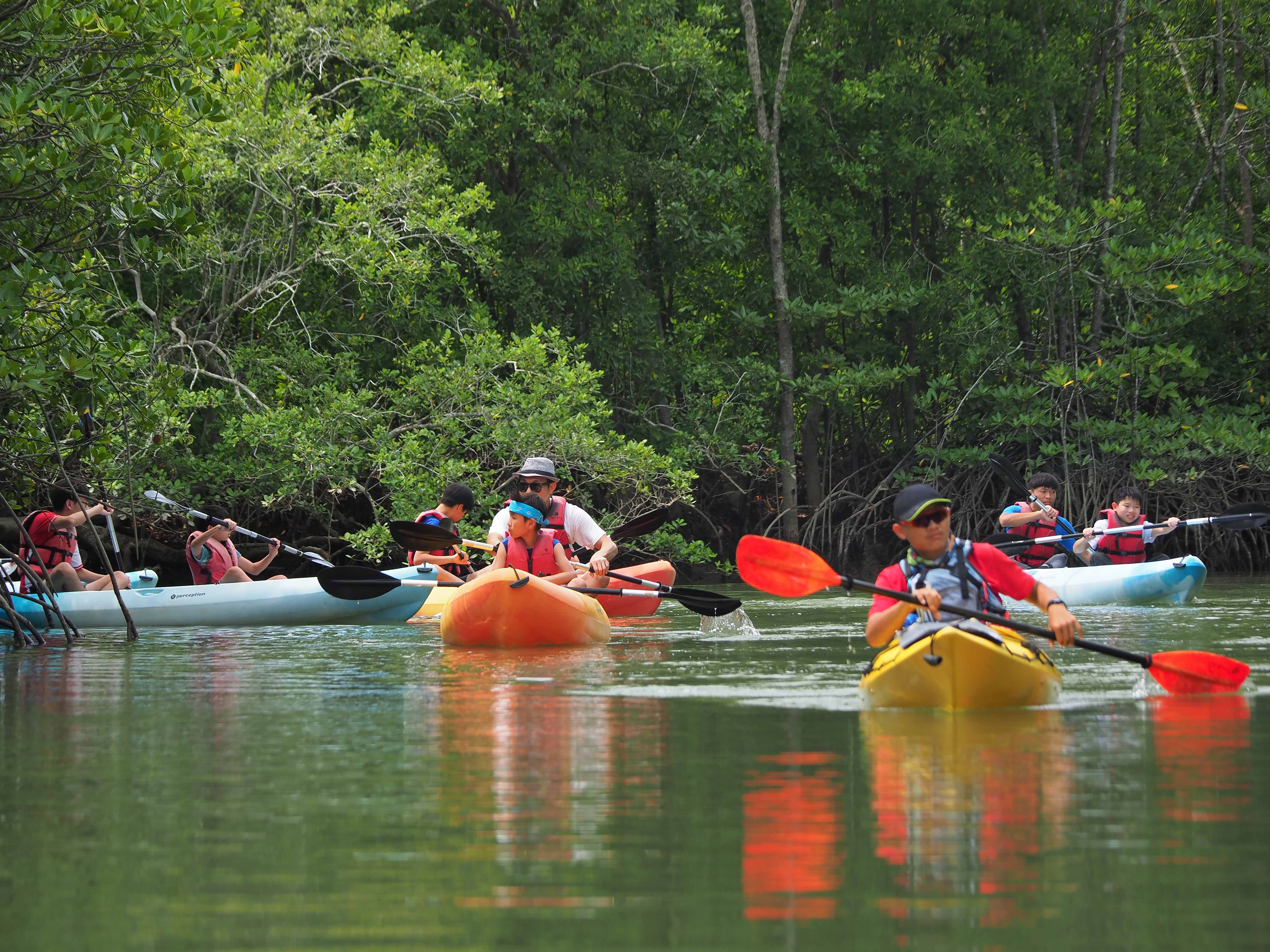 Mangrove Kayaking Adventure at Pulau Ubin | Singapore - KKday