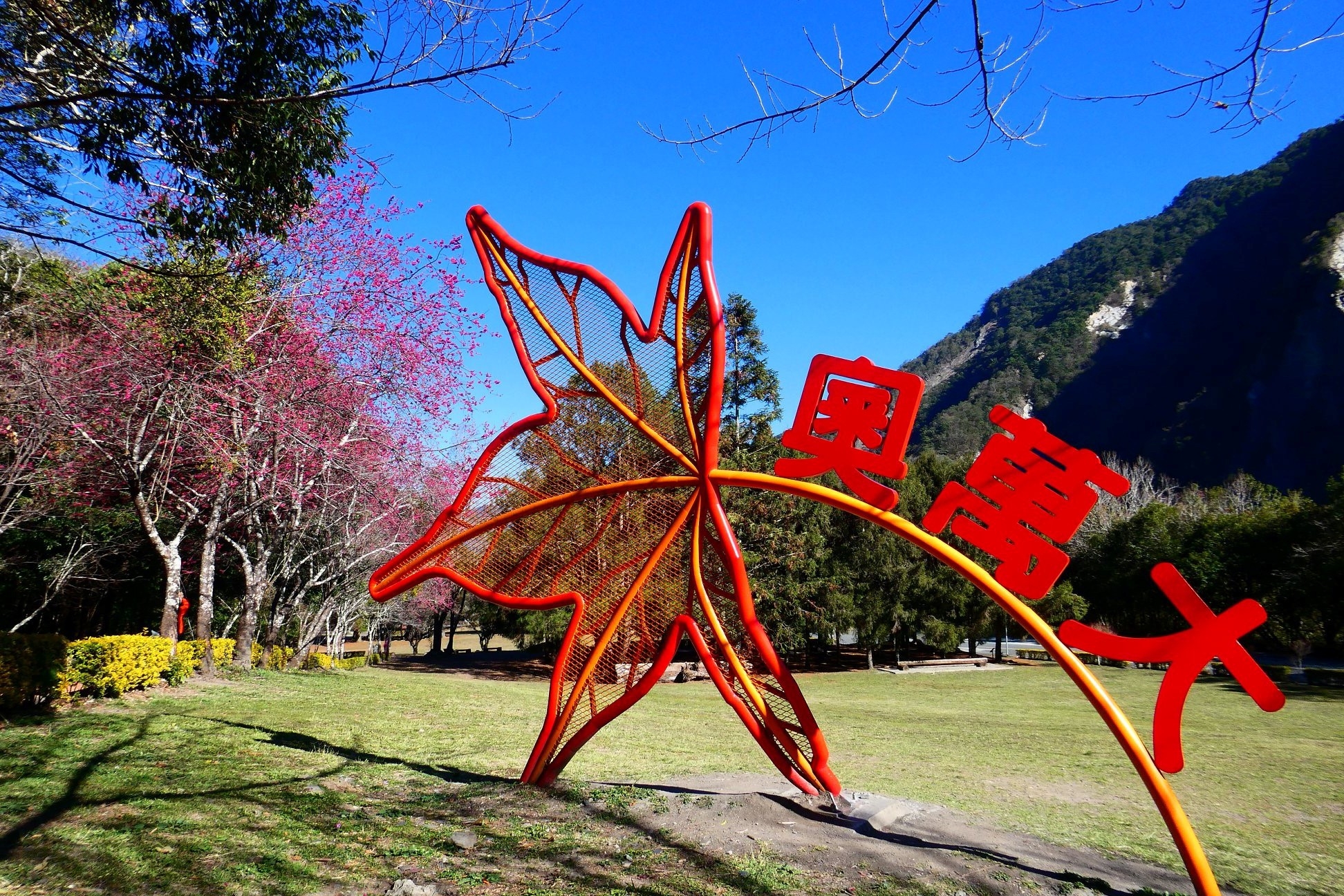Nantou, Taiwan｜Aowan Dafeng Maple Appreciation Day Tour｜Depart from ...