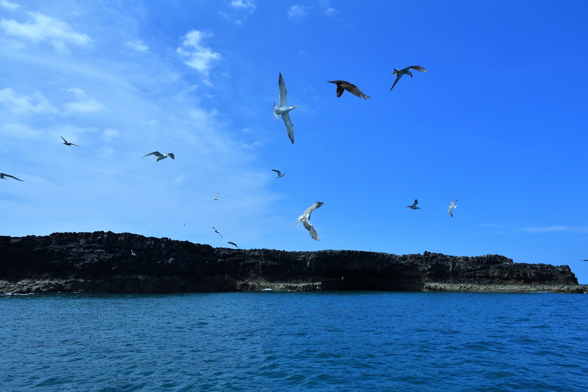 Penghu North Sea Island Hopping Day Tour: Daiso Island, Mudou Island ...