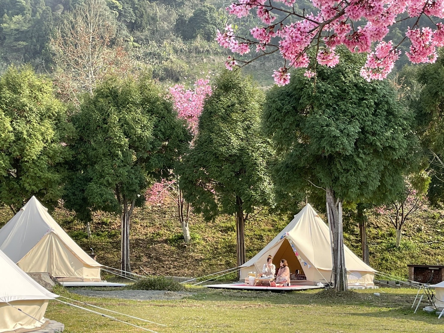 [Limited Time Offer] [2/4 Meals] Hsinchu Camping: Xiong Glamping ...