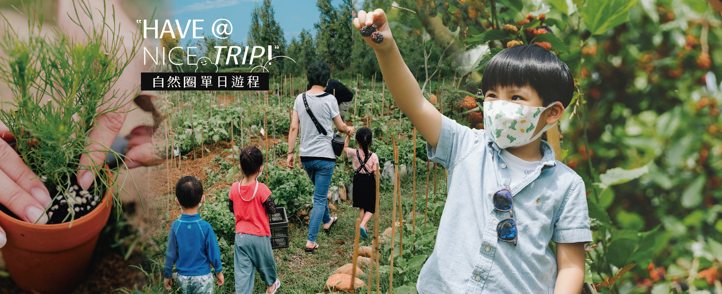 Natural Circle Farm｜Hiding in the Forest-One-day Tour Experience - KKday
