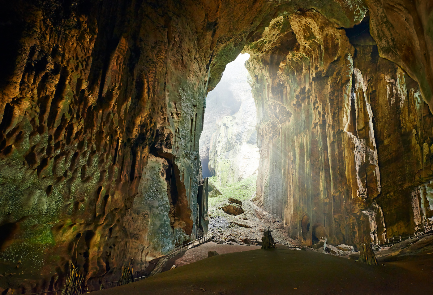 ทัวร์วันซาบาห์: ถ้ำ Gomantong & แม่น้ำ Kinabatangan | มาเลเซีย - KKday