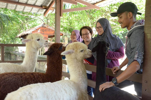 Tiket Pas Farm In The City | Selangor - KKday