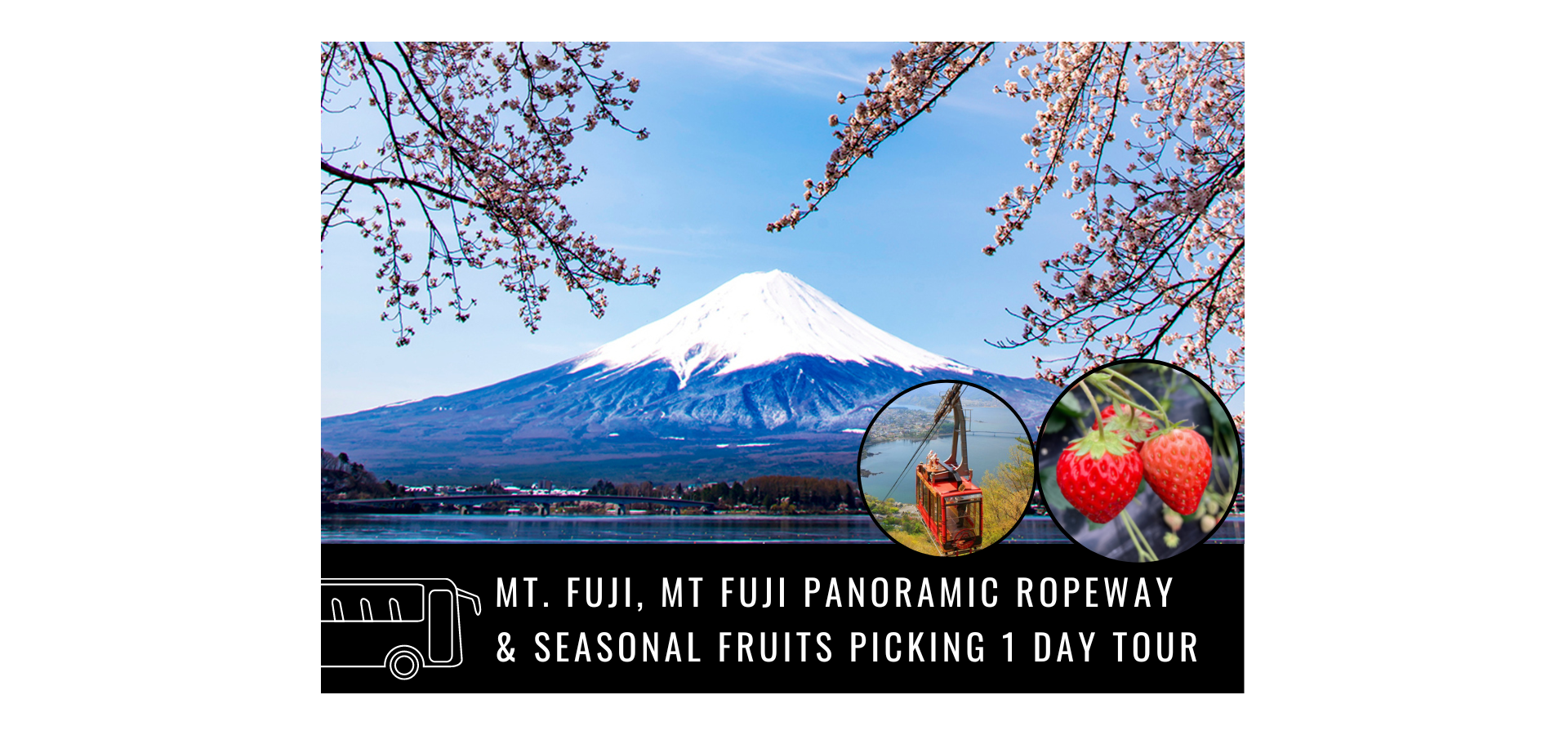 Mt. Fuji Panoramic Ropeway & Seasonal Fruit Picking Day Tour | Japan ...