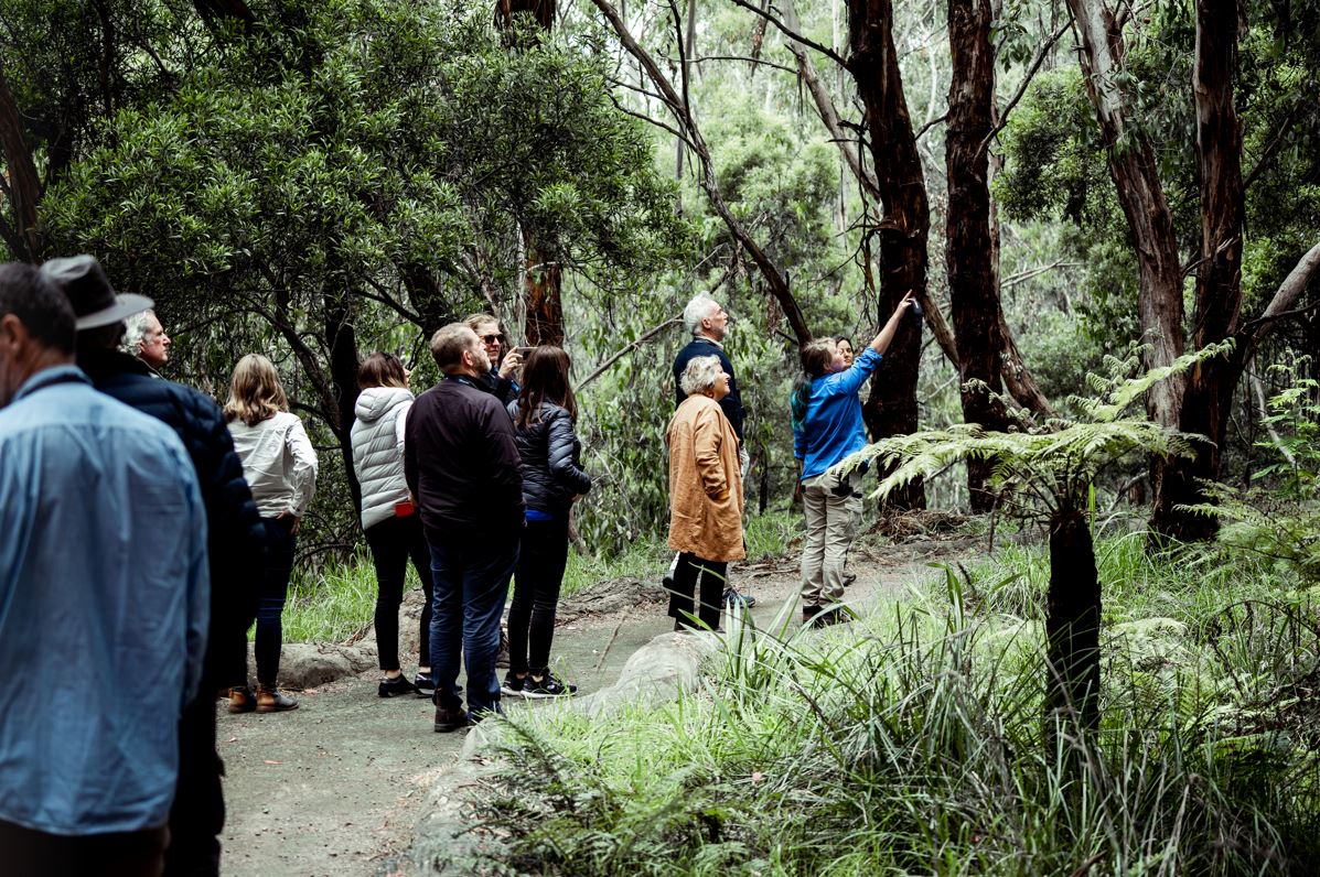 90-Minute Dusk Discovery Wildlife Tour - KKday