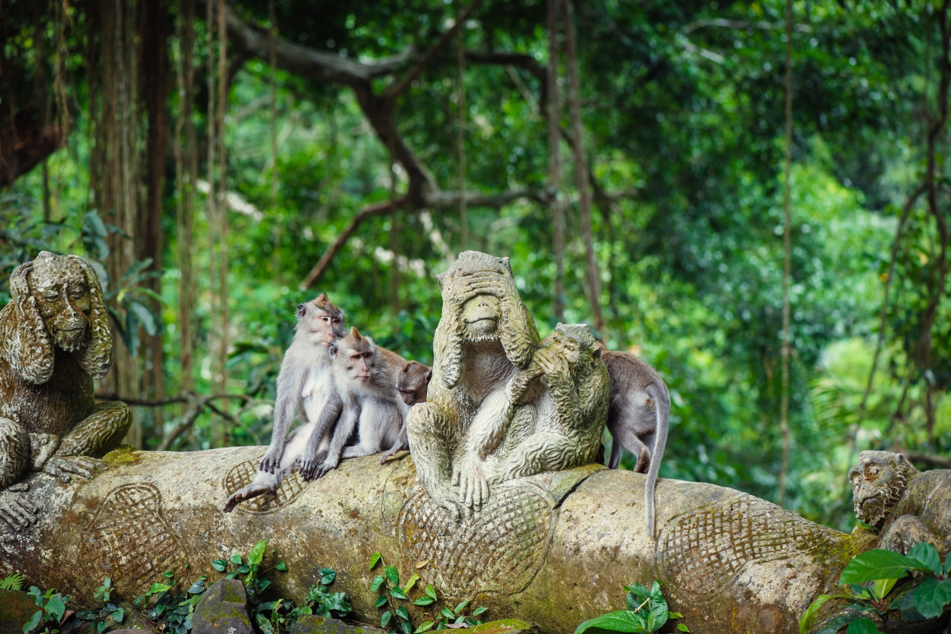 Bali in 1 Day Private Tour: Monkey Forest, Temple, Volcano, Waterfall ...