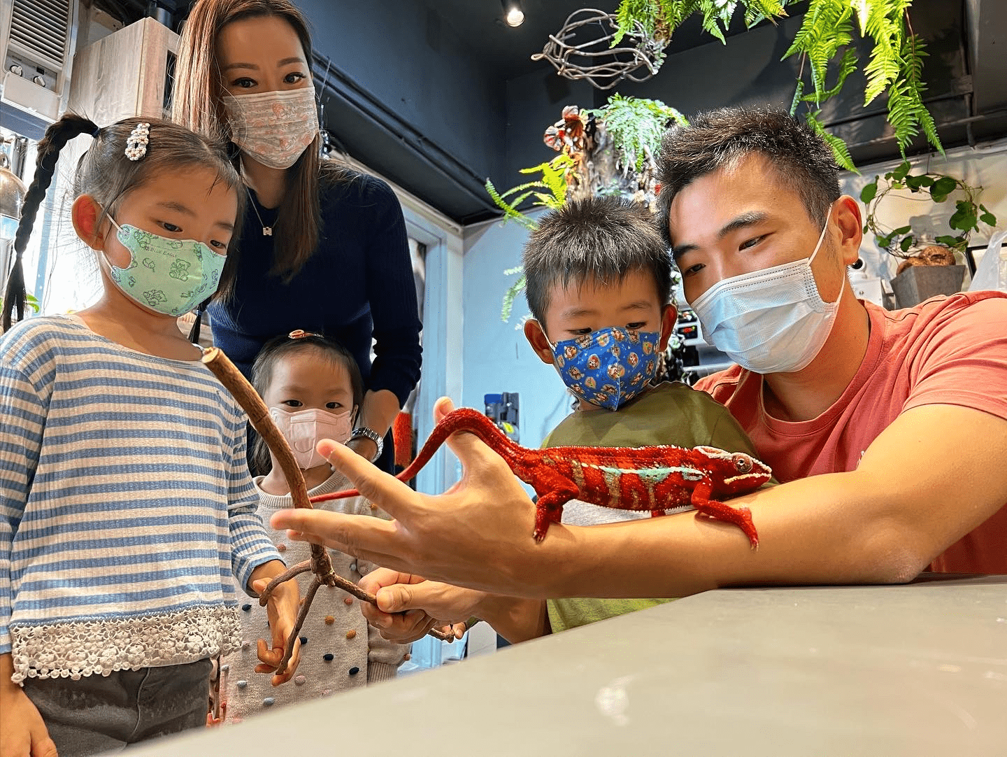 【A good place for parents and children】Reptile Workshop｜Small Reptile ...