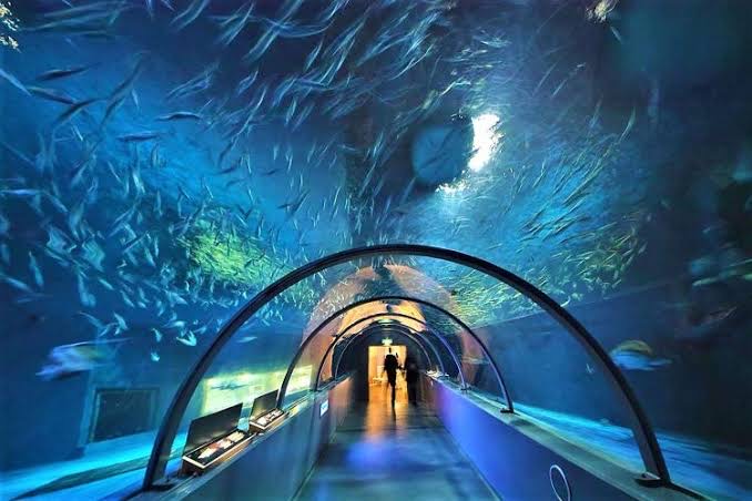 【Hokkaido One-day Tour】Lake Toya・Nobenics Ocean Park or Date Times ...