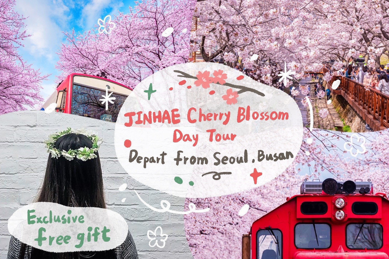 [Spring Exclusive] Jinhae Gunhangje Festival Cherry Blossom Day Tour ...