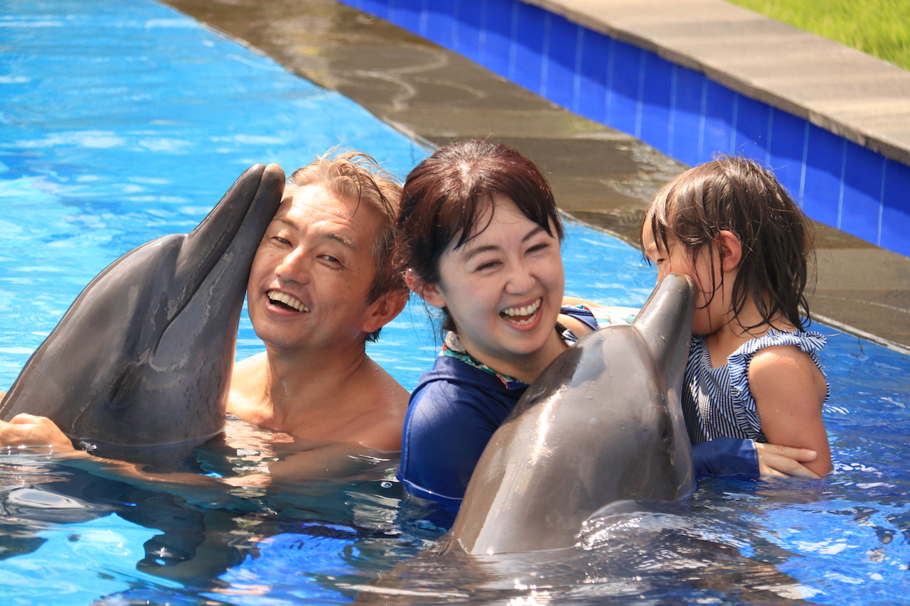 Bali Exotic Dolphin Marine Park | Indonesia - KKday