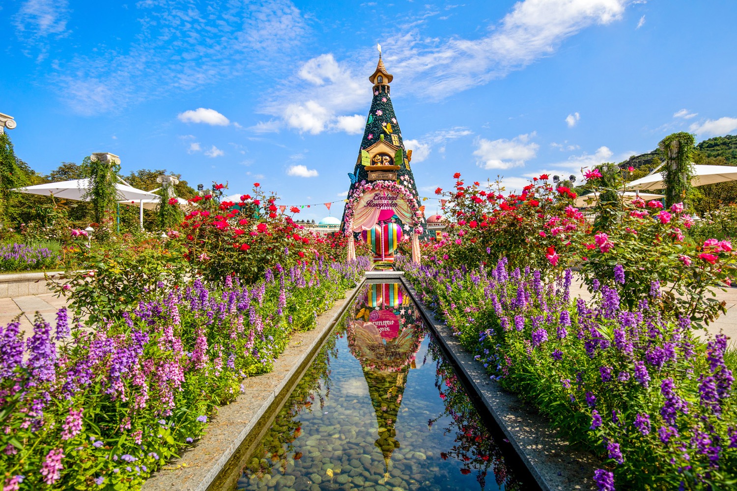 Everland Theme Park: Admission Ticket | Korea - KKday