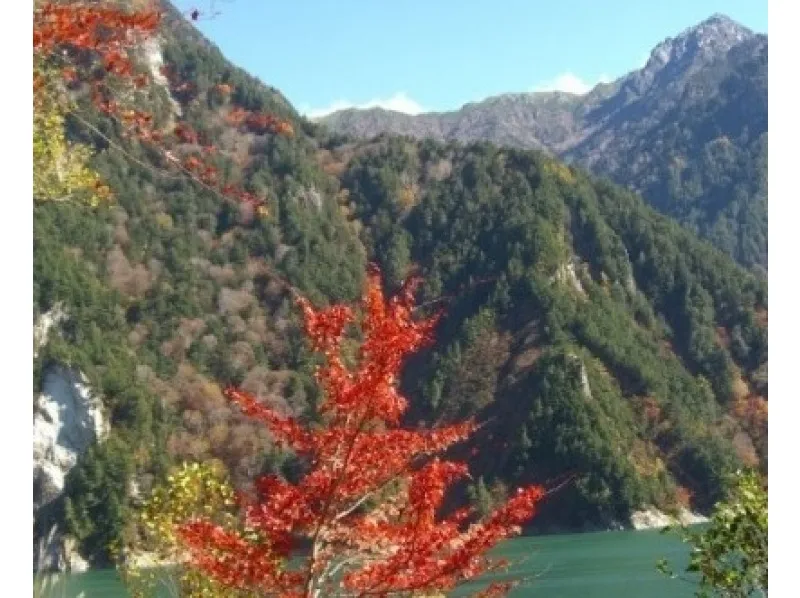[Nagano, Omachi City Nature Walk/Nature Observation] Kurobe Dam and the ...