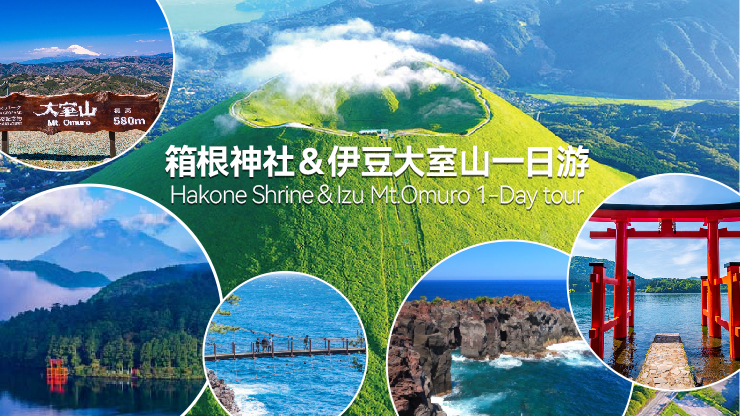 Kanto Bus 1-Day Tour | Hakone Shrine, Kinosaki Coast & Izu Mount Omuro ...
