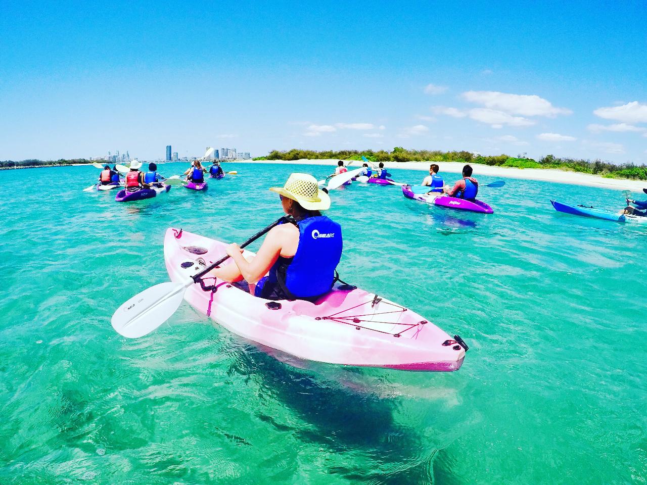 3 Hours Morning Dolphin Kayaking & Snorkeling Tour in Gold Coast ...