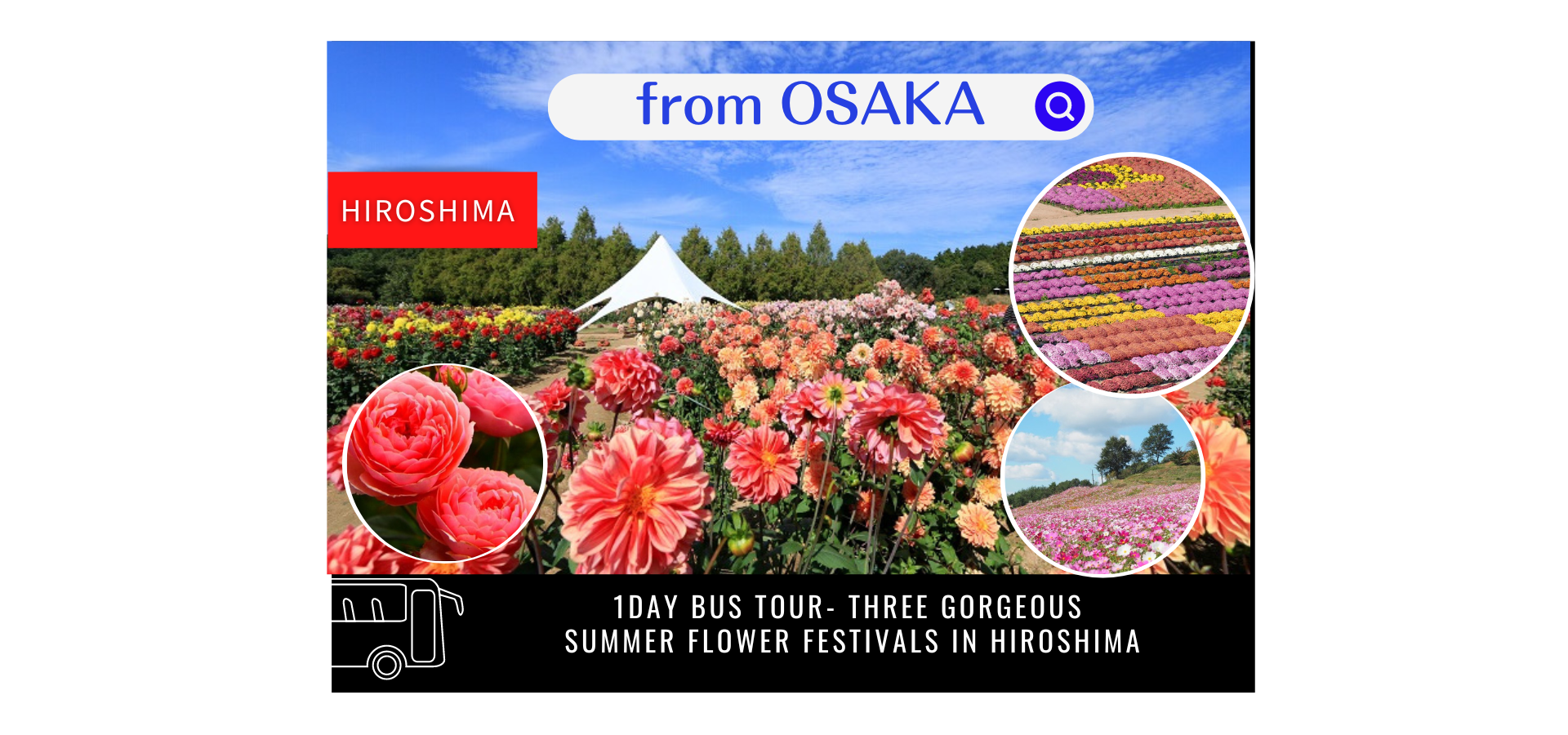 1Day Bus Tour. Three Gorgeous Summer Flower Festivals in Hiroshima - KKday